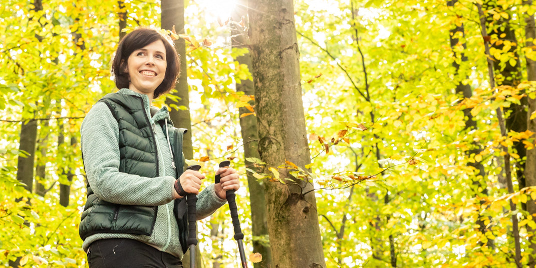 Modell Platzhirsch – Rothwild